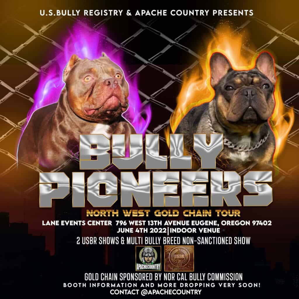 Events – Journey Of The Bullies